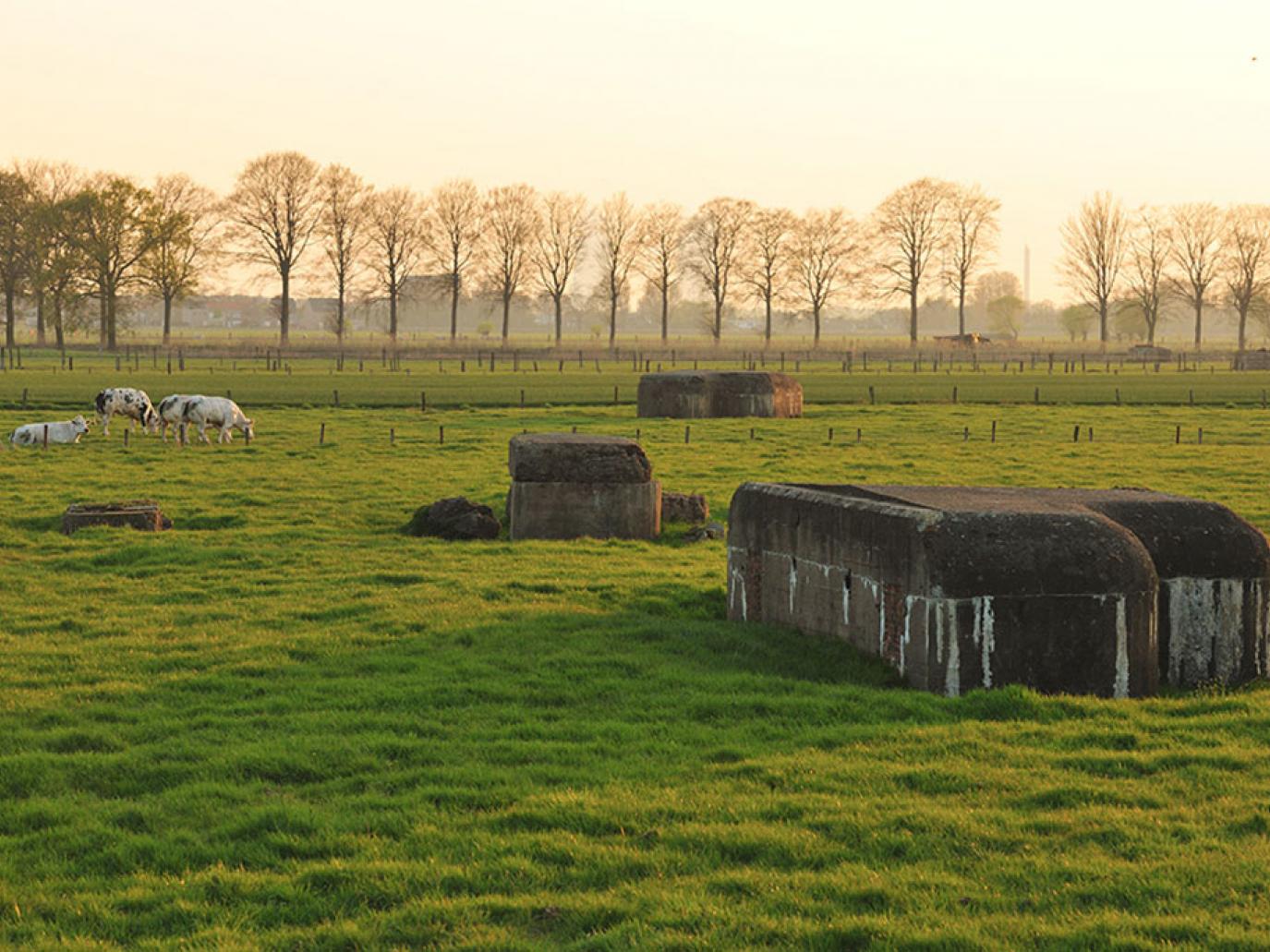 Fort van Stabroek | Fortengordels